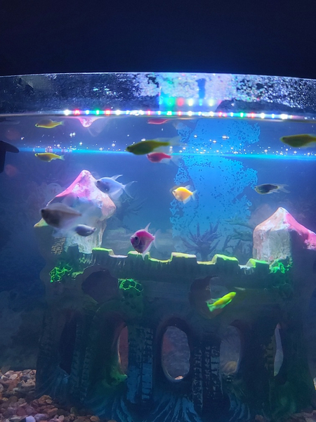 Aquarium 60 litr