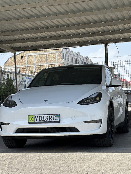 Tesla model Y  dual motor amerika