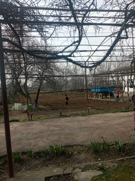 Продается дача, земельный участок или сдается в аренду.