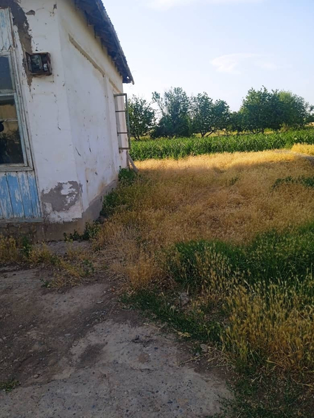 Срочно Уй сотилади