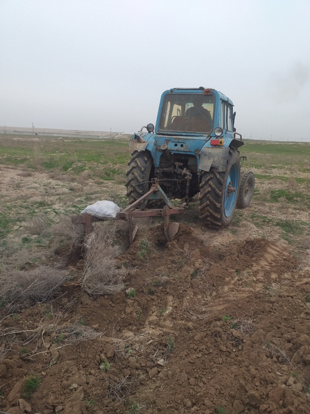 MTZ 80 19XX Holati yaxshi