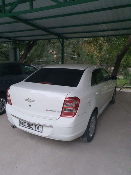 Kobalt Cobalt 3 pozitsia 2014
