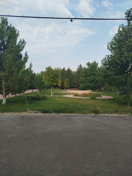 Санаторий для всей семьи недорого. Отдых на природе. Физеотерапия