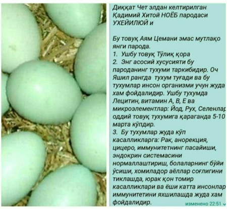 Qora va oq  tovuq uxayul yashil tuxumlari sotiladi