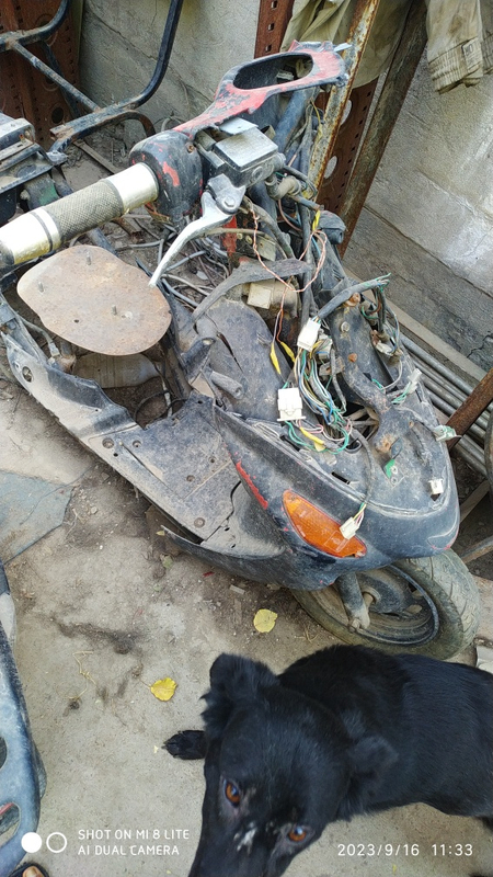 Продам скутр Джейран.