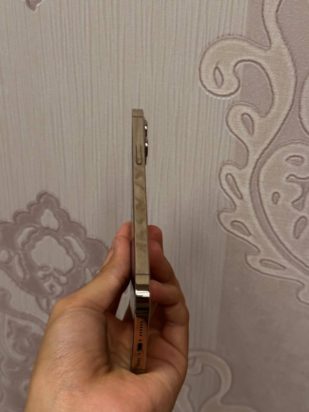 iPhone 12 pro max 256gb