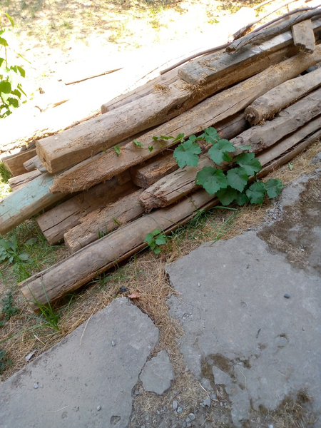 Tysin kurilishga,4metrli narxi kelishiladi coni6ta yzactkaga ishlatila