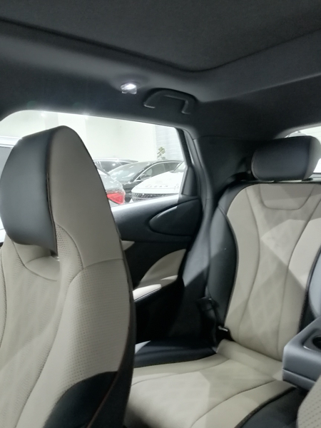 BYD Dolphin fashion edition (510 km)
