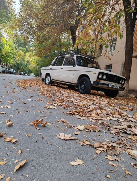 Juguli 06 sotiladi sirochni