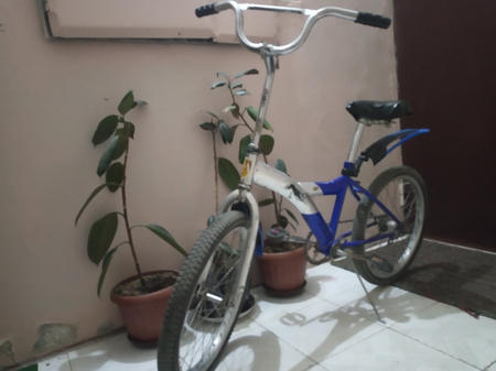 VELOSIPED 20 (velik)