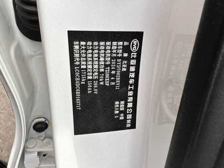 byd e2 luxury full