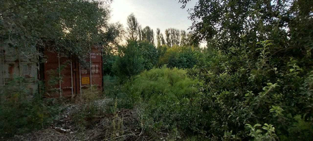 yer uchastka sotiladi Toshloq tumanida