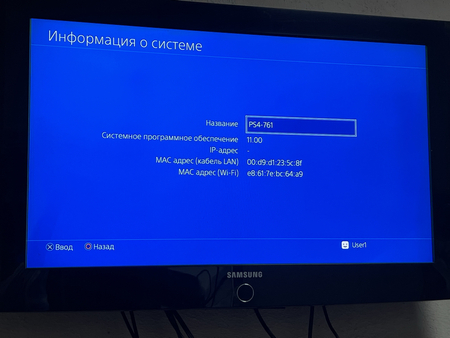 Playstation 4 fat