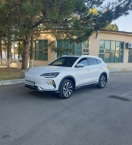 BYD CHEMPION 605 KM. 2024. Краска тоза.