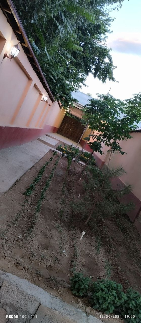 Oqtoshda ijaraga  dacha oila va ulfatlar uchun