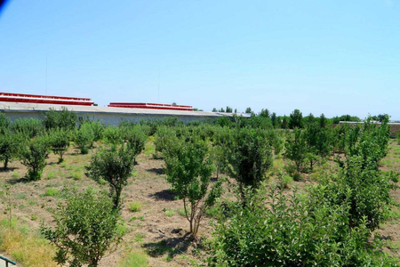 Заправка Бензин и Газ