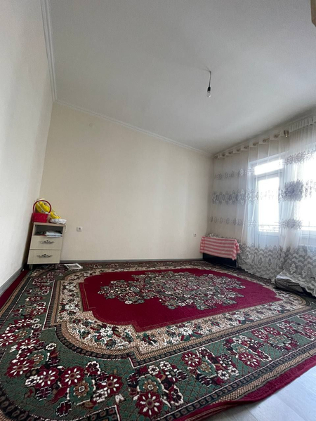 Motrid ijaraga beriladi