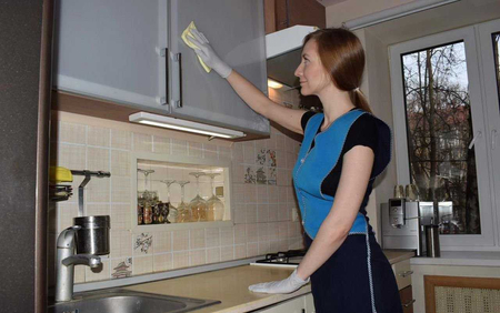 Генеральная уборка квартир, домов, офисов. Домработница.