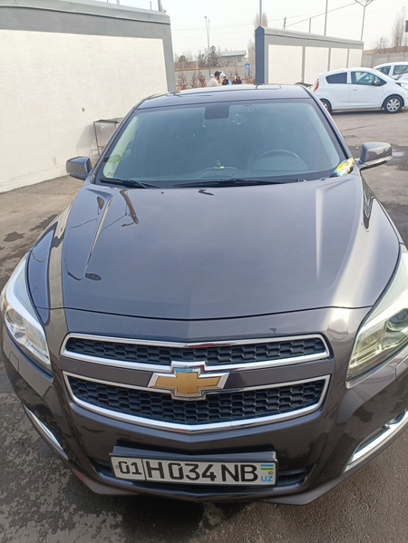 Malibu 1 sotiladi