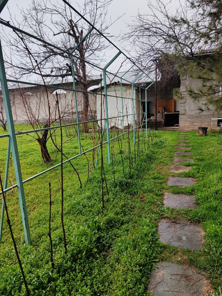Kashtan kochatlari sotiladi