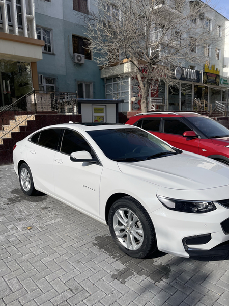 Malibu 2 oq 2.4