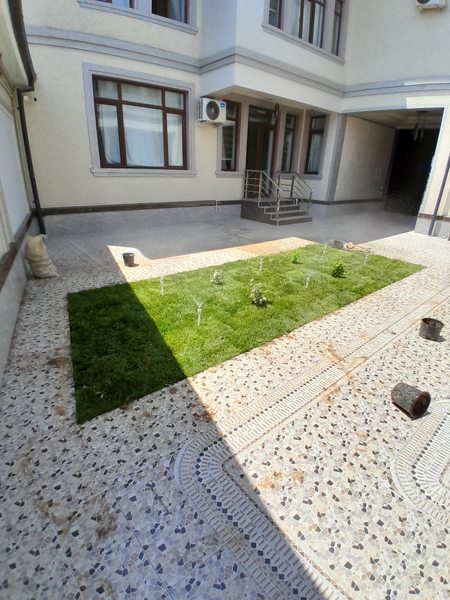 Sifatli gazon ekamiz
