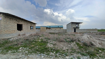 Hovli joy 6 sotix