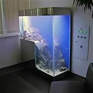 Аквариум, аквариумы на заказ, изготовление аквариумов, akvarium
