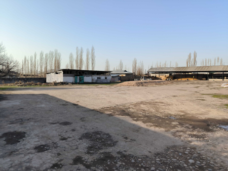 Продается участок 55 соток в Юкоричирчикском р-не, Янгибазар