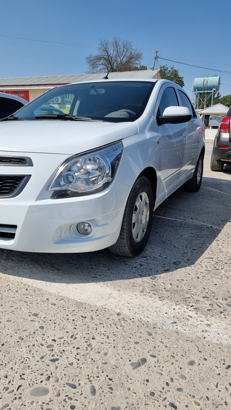 Kobilt mexanika yili 2019