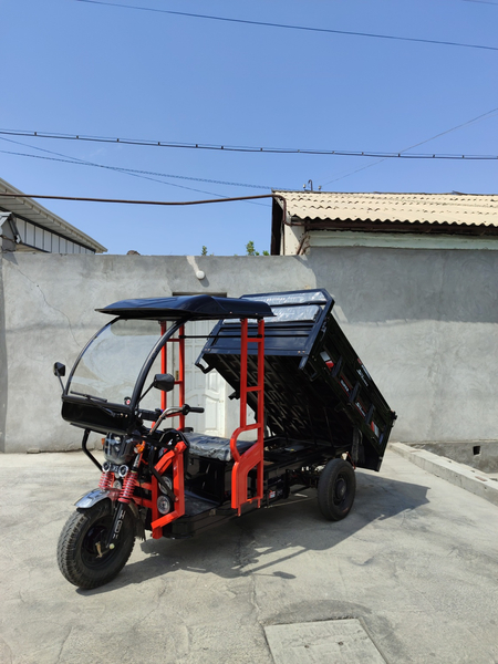 Elektira Matarol