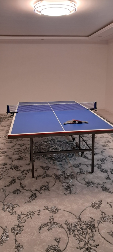 Stol tennis; ping pong