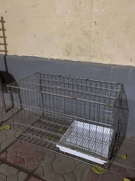 Quyon ini sotiladi