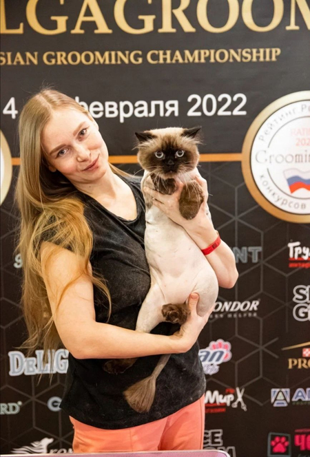 Профессиональный груминг кошек