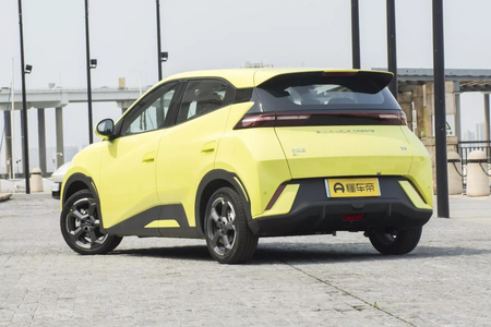 Byd seagul arenda s vikupom