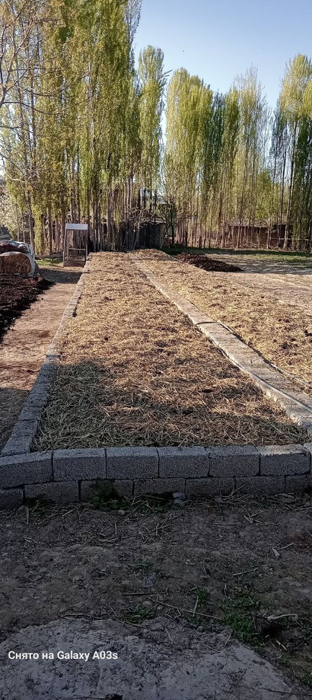 Yangiyõl biogomus sotiladi.