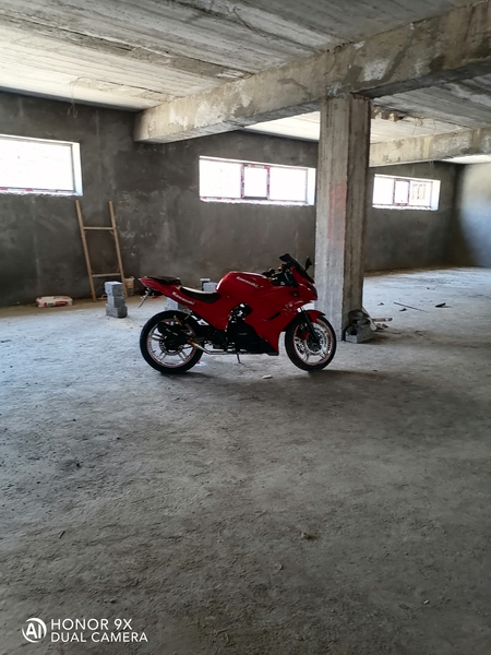 Kawasaki monster 250cc 6skorst
