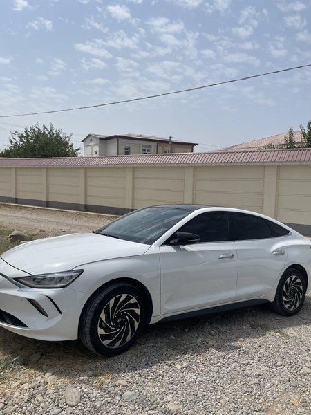 Hyundai Lafesta elekrocar 450-500 km
