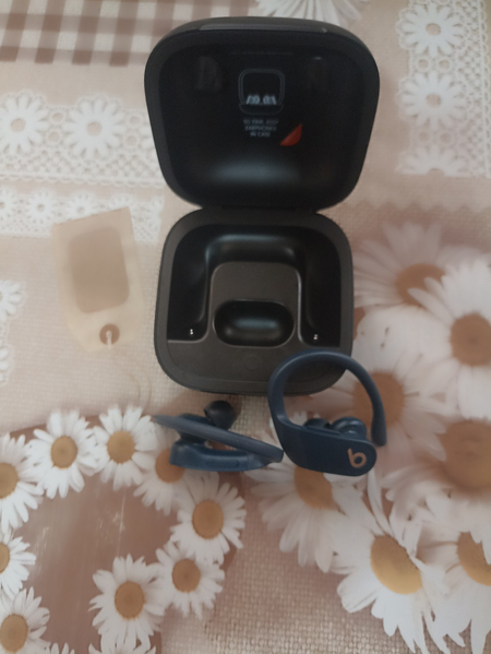 Powerbeats Pro идеал