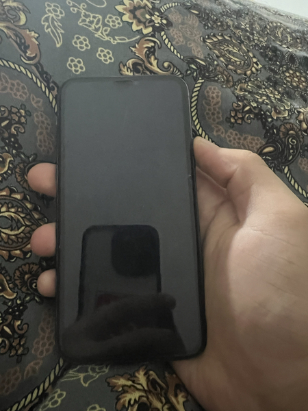 Phone 11 pro tru tone bor