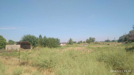 Продается земля 46 соток в Янги Чиназе на берегу реки Сырдарья (А)