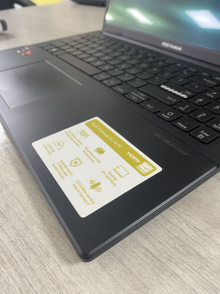 Asus Vivobook go 15