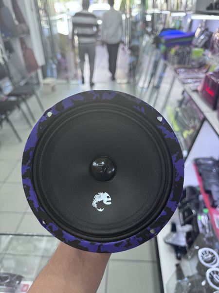 DL audio piranha 165