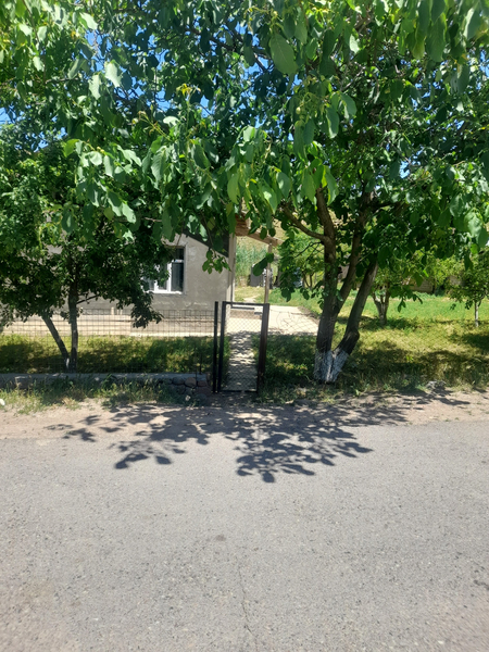 Tashkent vloyati Bostoliq tumanida uy sotiladi