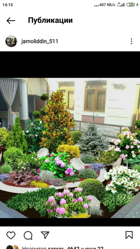 Bog‘bon xizmati Umid