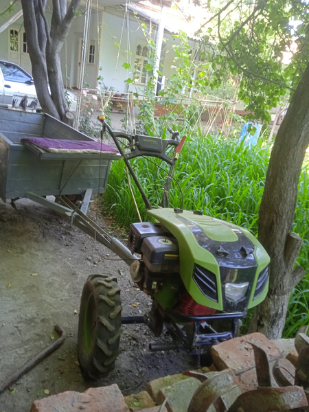 Pachti yangi statr bilan zavad bòladi