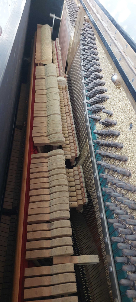Fortepiano Беларусь