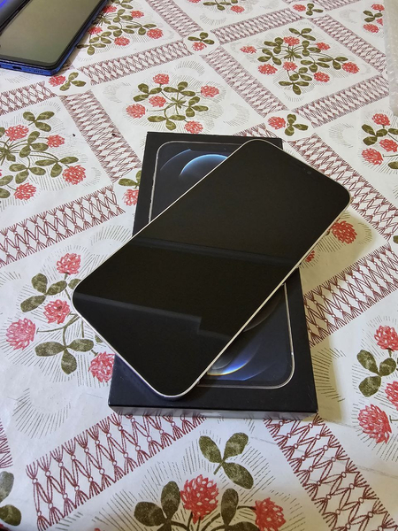 Iphone 12 pro max