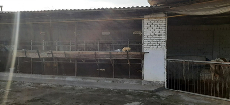 Ferma arendaga beriladi