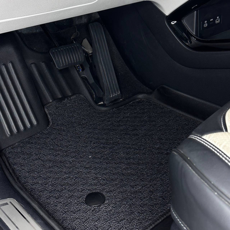 BYD Song plus 3D double salon polik